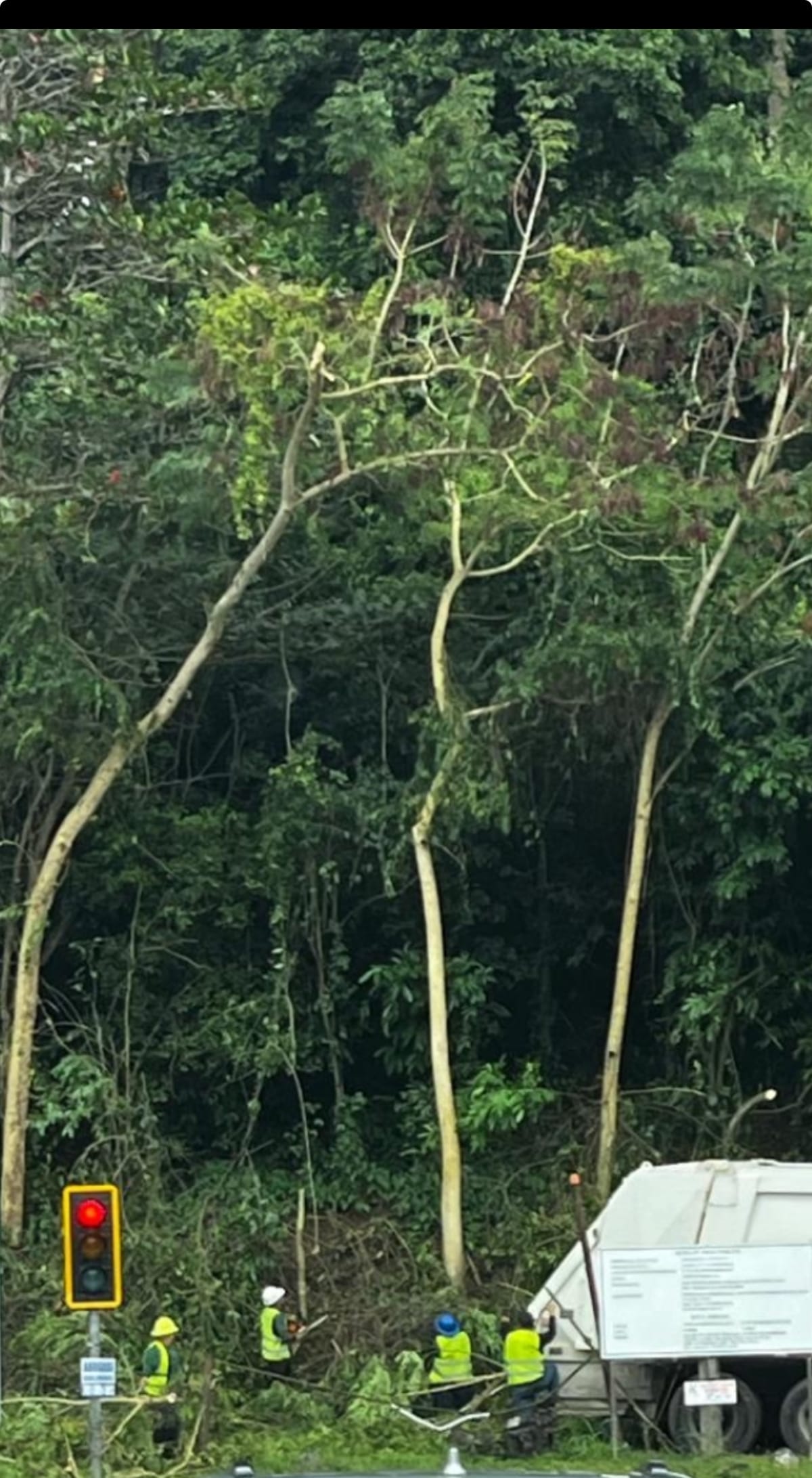 Paseo La Cima: ¿Urbanismo o Favoritismo? El Movimiento Victoria Ciudadana y el Partido ...